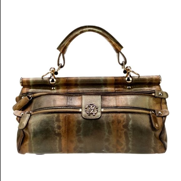 Roberto Cavalli | Bags | Roberto Cavalli Lizard Beautiful Purse | Poshmark